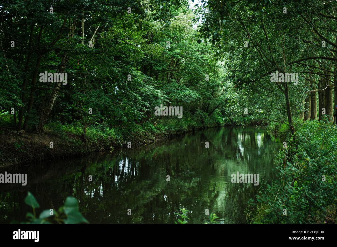 Colorful landscape park with beautiful trees and water Stock Photo - Alamy