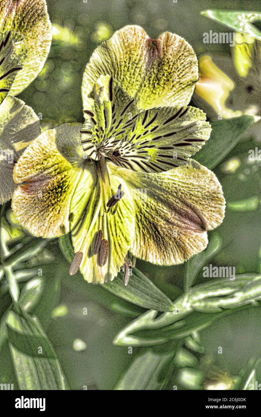 Digital manipulated image hi-res stock photography and images - Alamy
