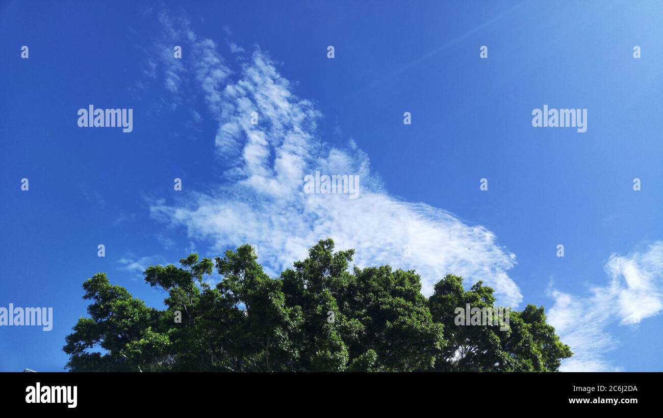 Shenzhen, China: residential buildings under blue sky and white clouds ...