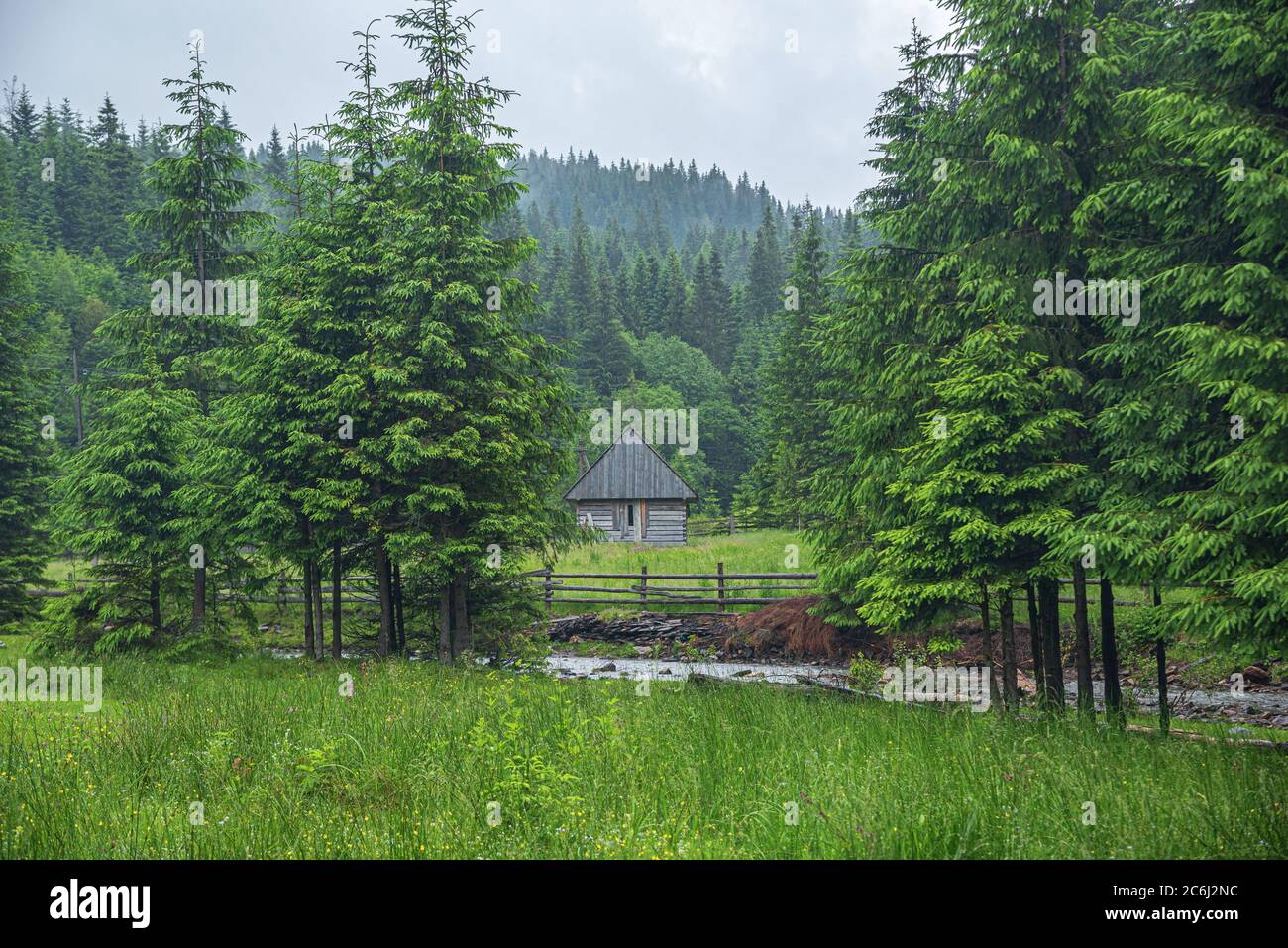 Old wooden house in the forest Stock Photo - Alamy