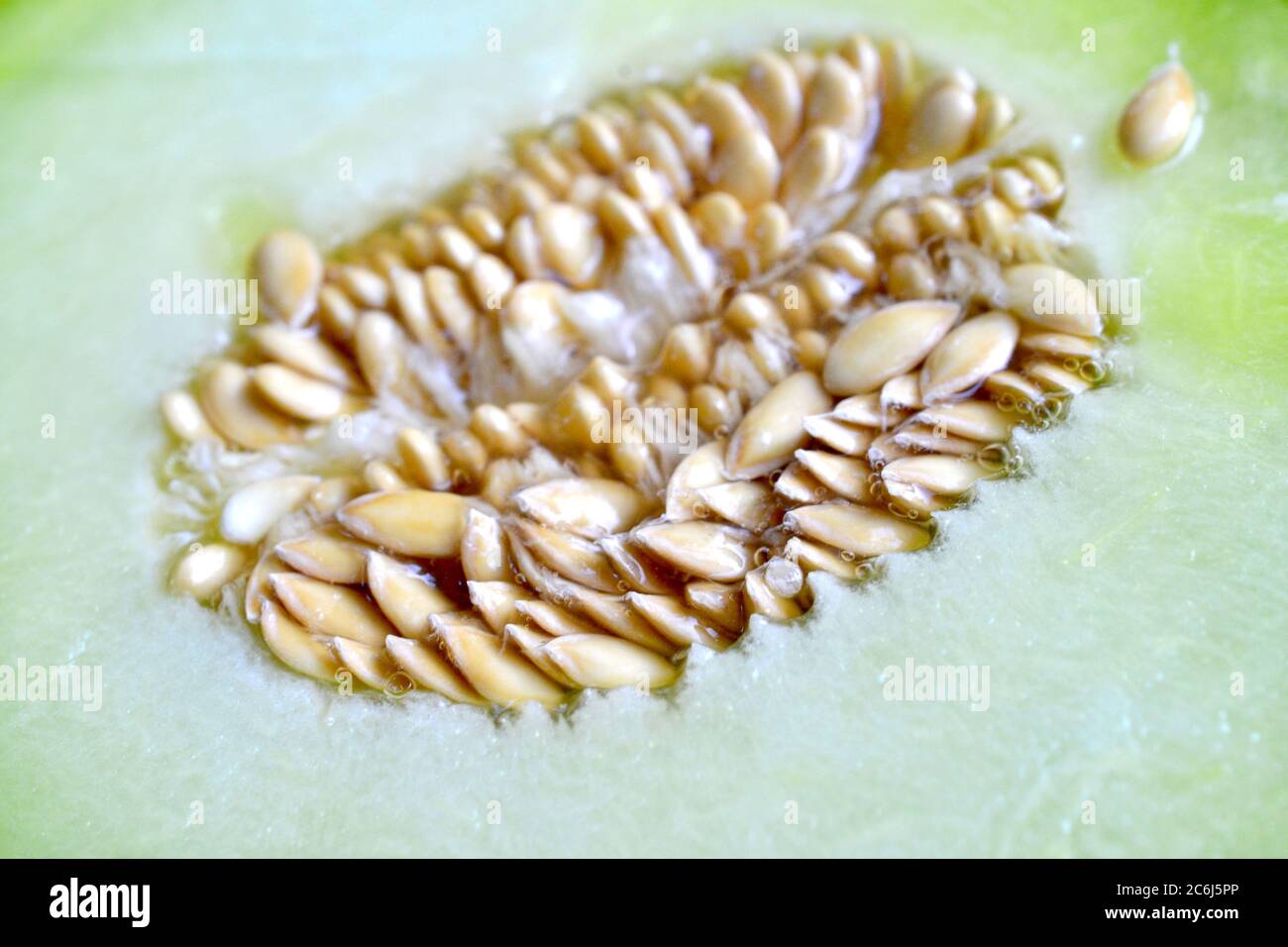 The melon pits hi-res stock photography and images - Alamy
