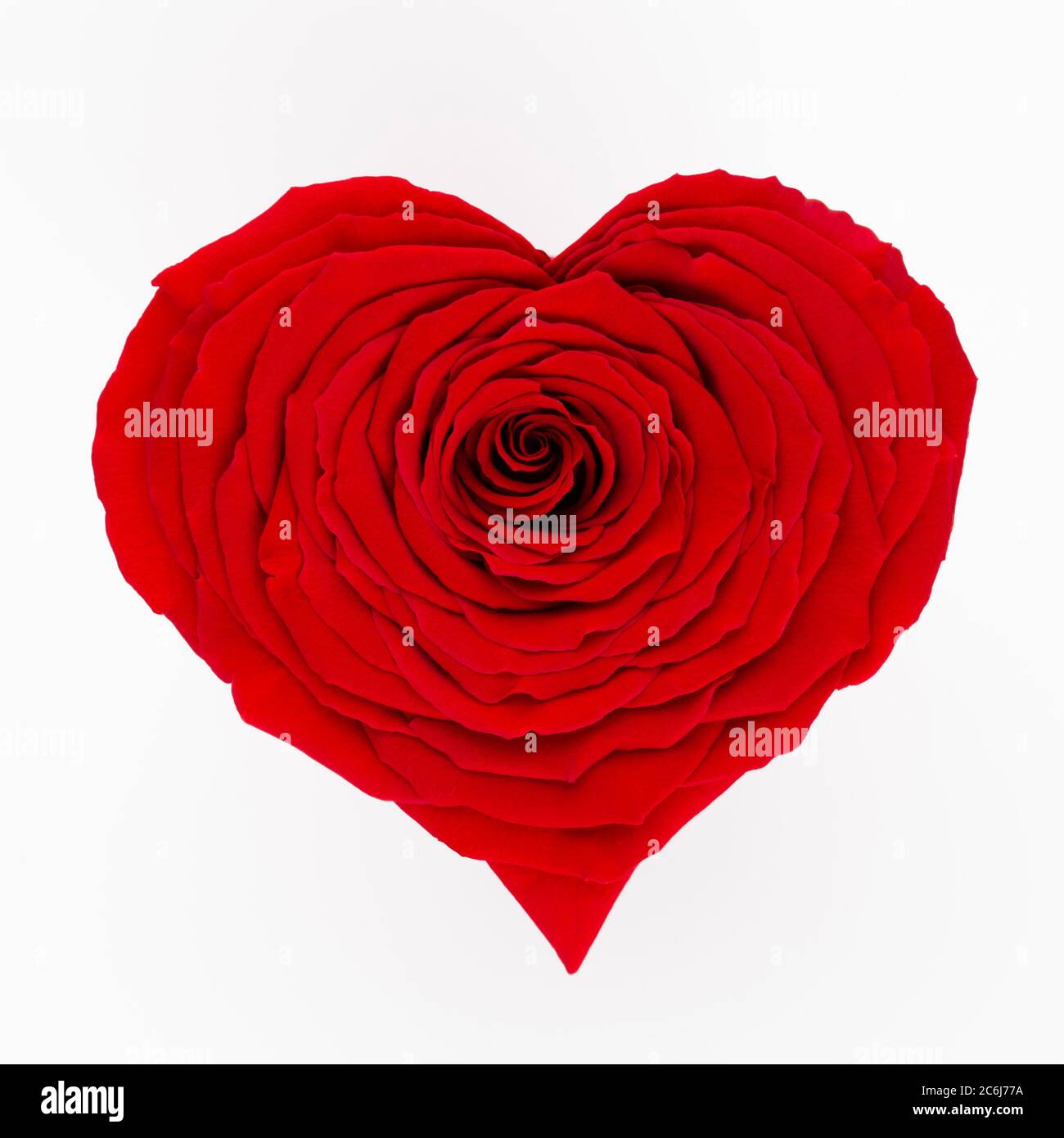 Heart made of rose isolated on white background Stock Photo - Alamy