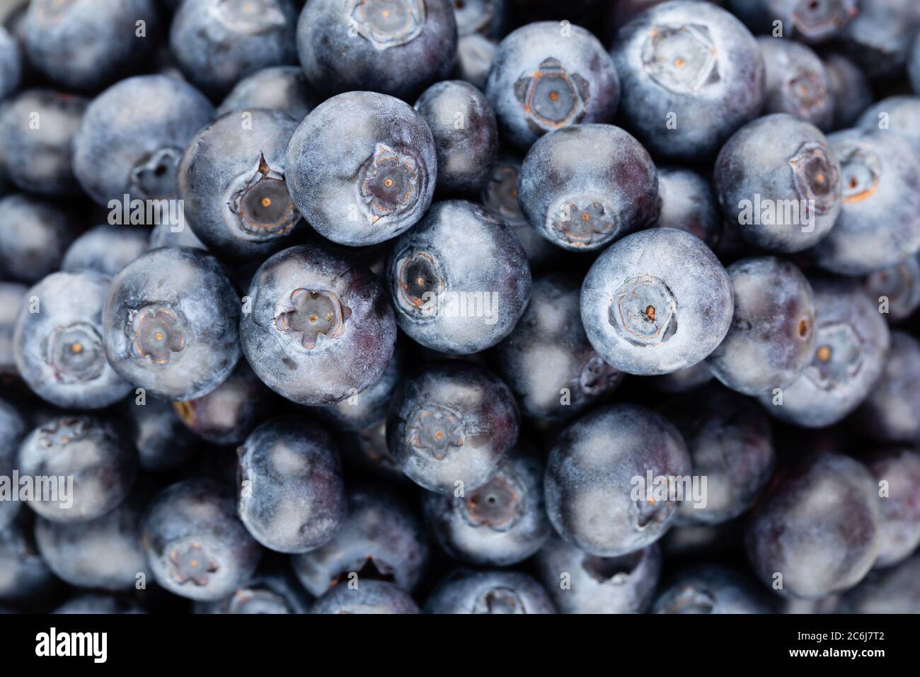 Fresh blueberries background with copy space for your text. Border ...