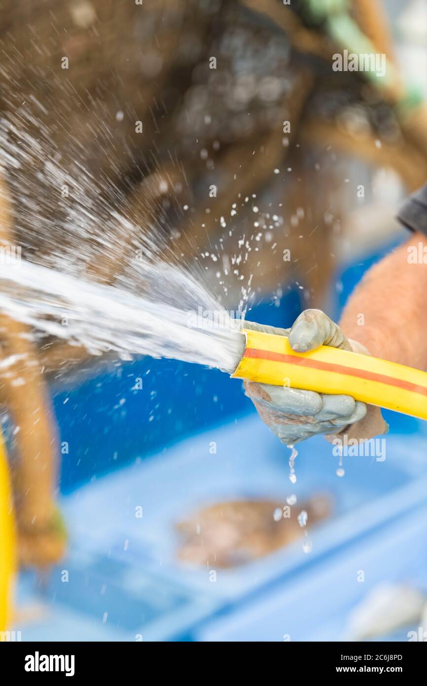 Hose journey hi-res stock photography and images - Alamy
