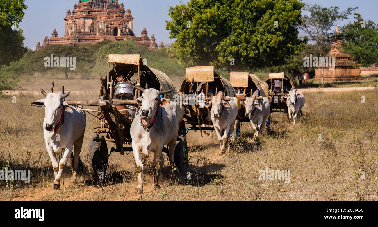 Old wooden ox cart hi-res stock photography and images - Alamy