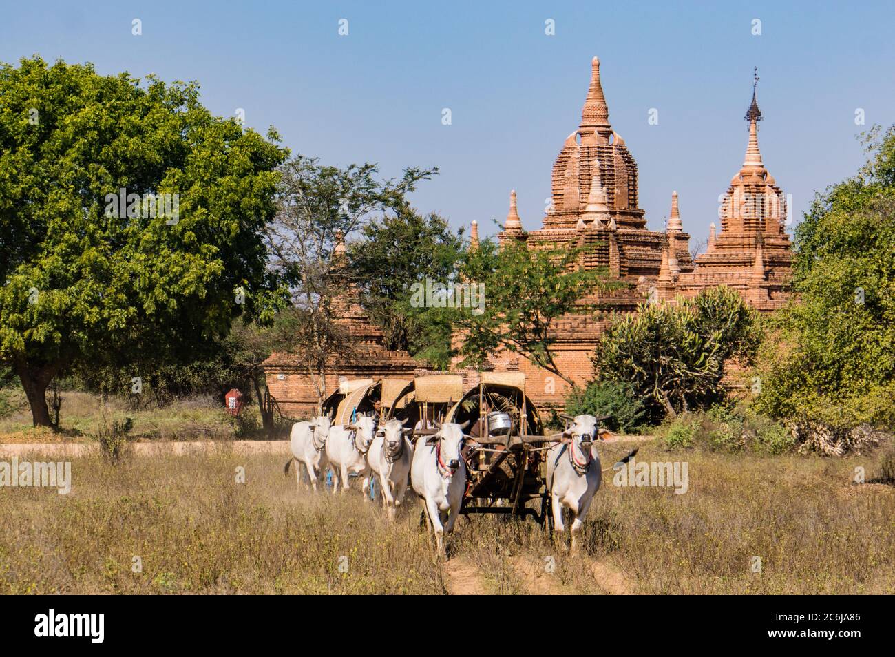 Old wooden ox cart hi-res stock photography and images - Alamy