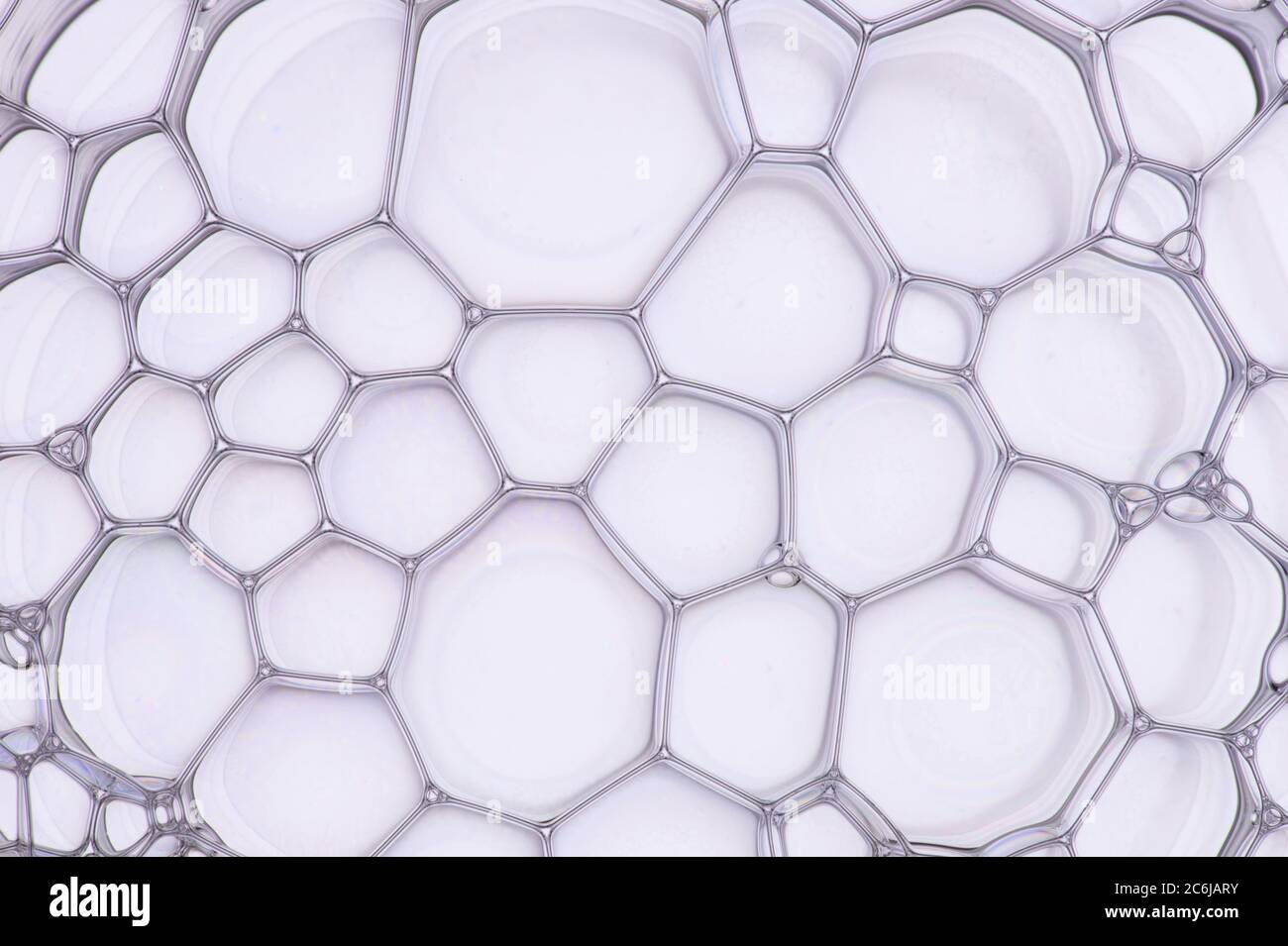 Macro close up of soap bubbles look like scienctific image of cell and ...