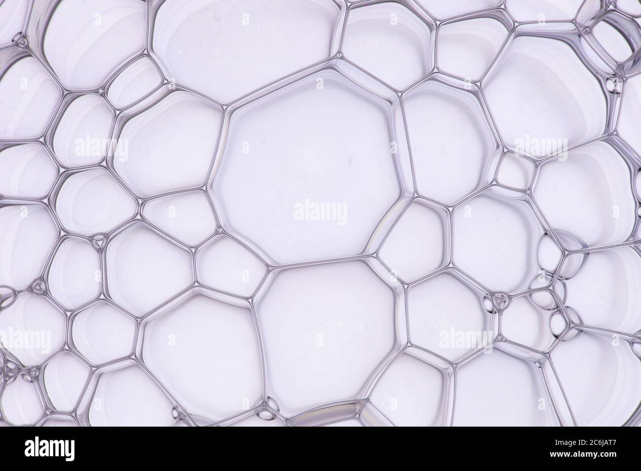 Macro close up of soap bubbles look like scienctific image of cell and ...