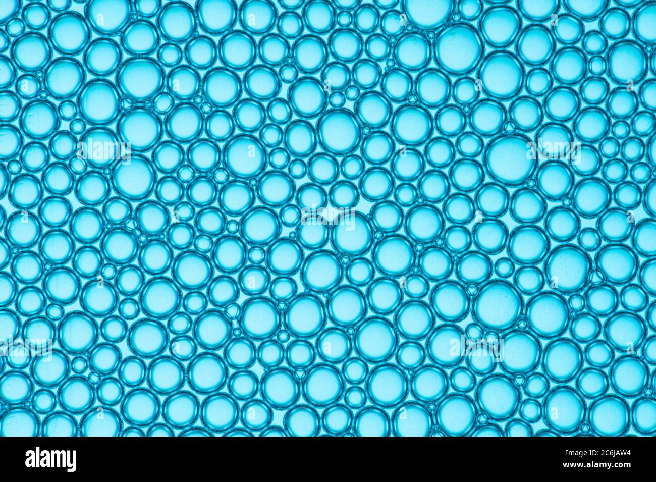Macro close up of soap bubbles look like scienctific image of cell and ...