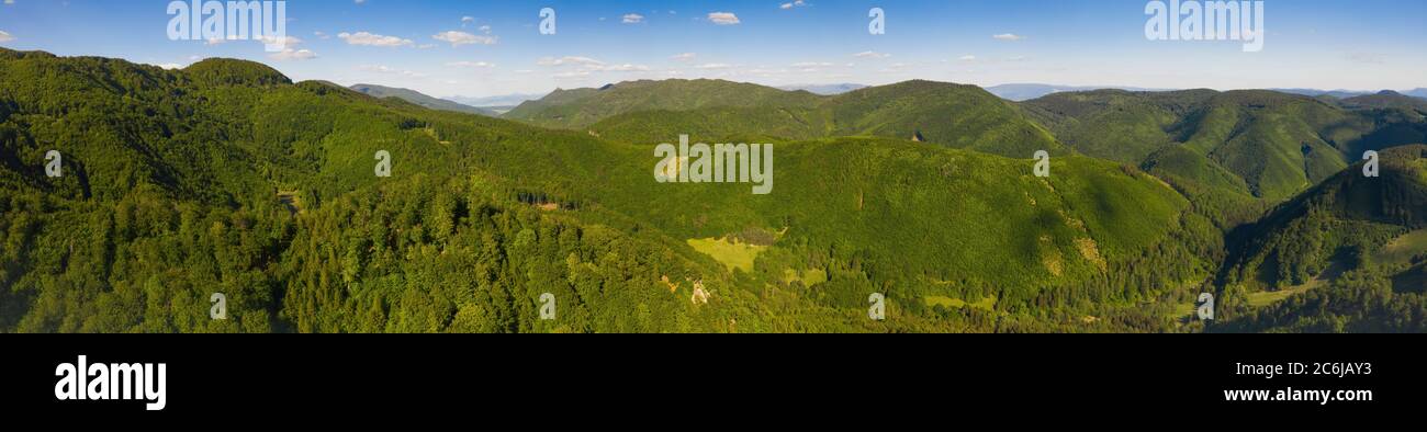 Aerial panoramic view lush hi-res stock photography and images - Alamy