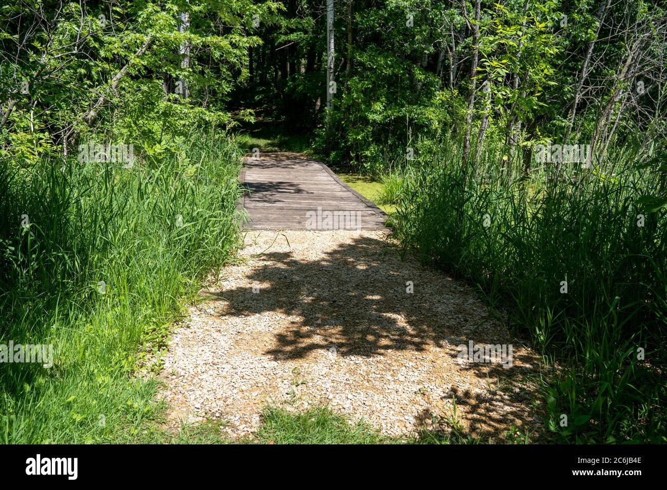 Small wooden footbridge spanning a swamp along a trail in Minneopa ...