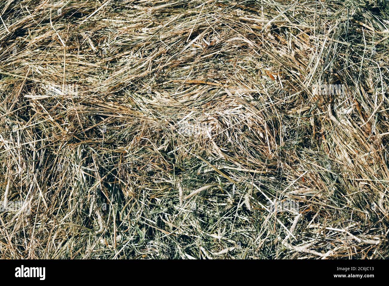 Hay bale of dried plants and grass in sunny day.Natural textured ...