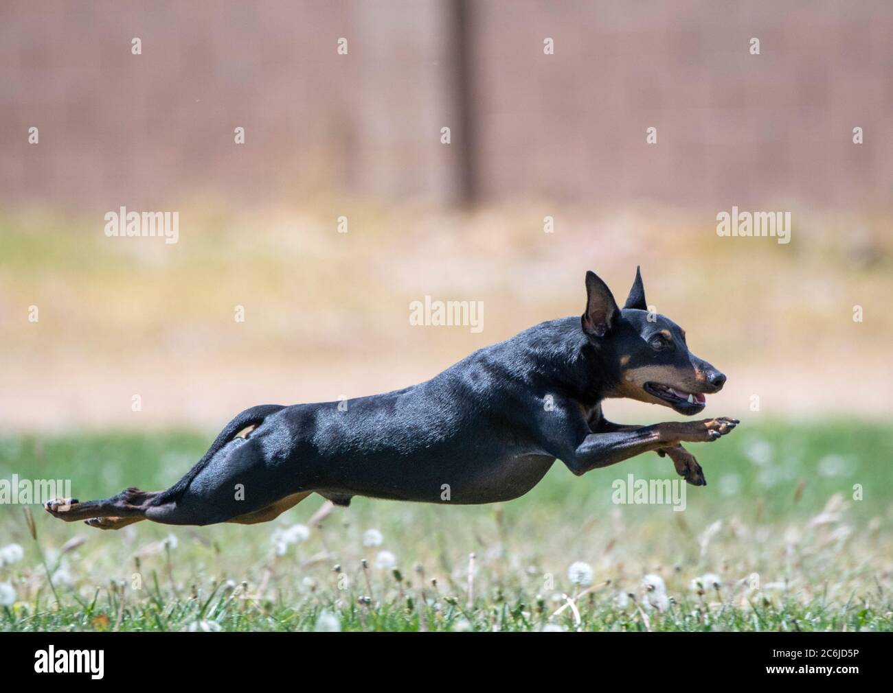 Racing and light athletes hi-res stock photography and images - Alamy