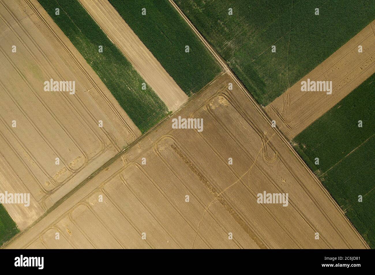 sunflower, agriculture, field, blue, crop, landscape, nature, green ...