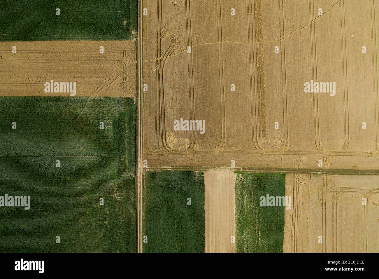 sunflower, agriculture, field, blue, crop, landscape, nature, green ...