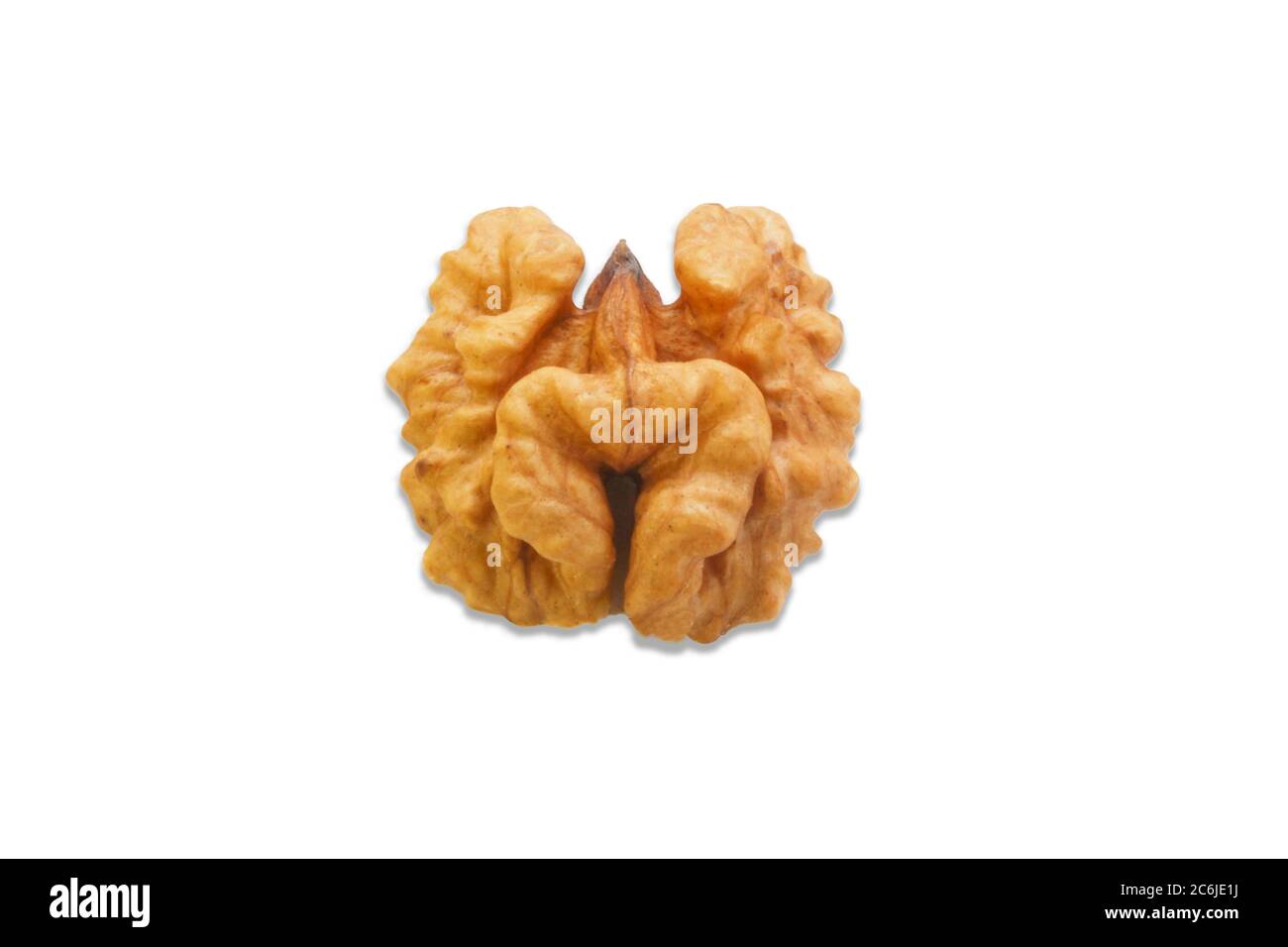 Walnut seed isolated on white background. Brain shaped half of walnut ...