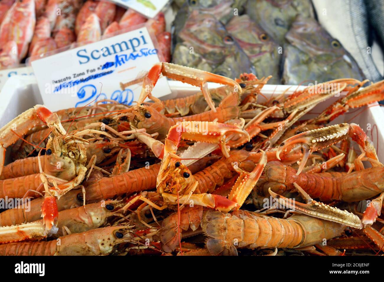 Large prawns hi-res stock photography and images - Alamy