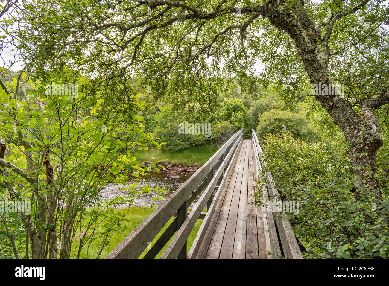 CASTLE VARRICH TONGUE SUTHERLAND SCOTLAND THE WOODEN BRIDGE OVER THE ...