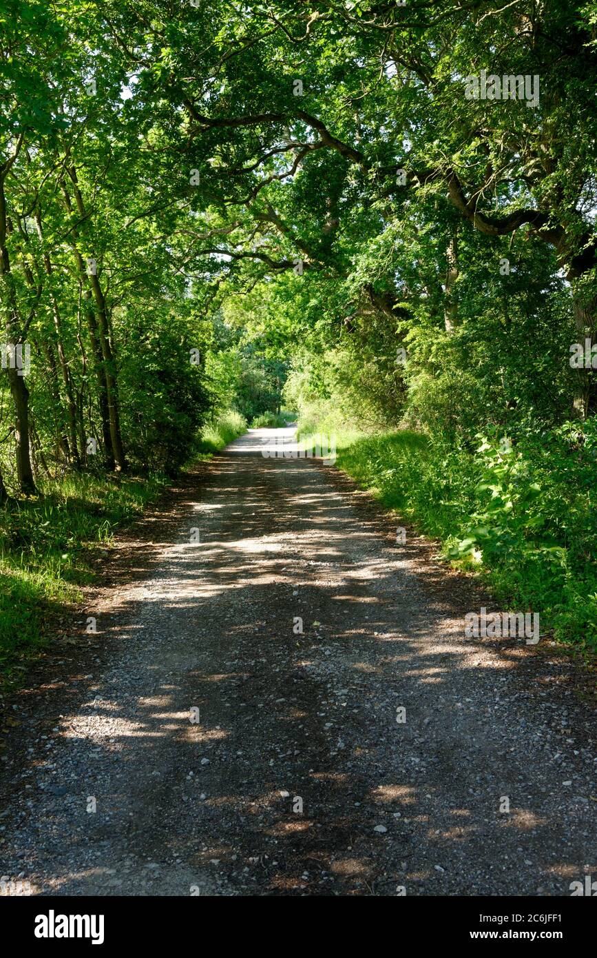 English Countryside Lane Stock Photo - Alamy