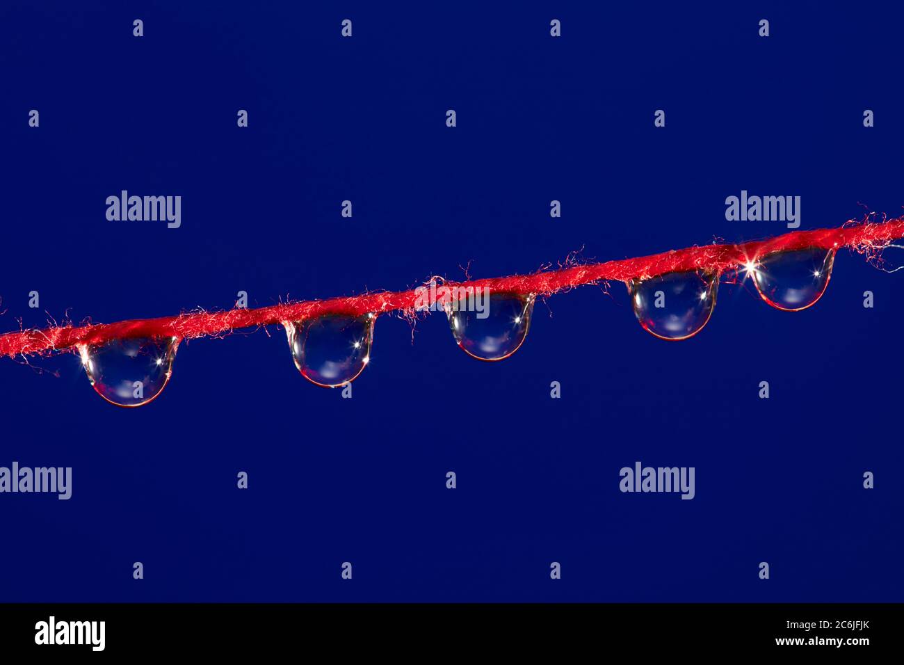 Five water drops hang on a thin red thread against dark blue background ...