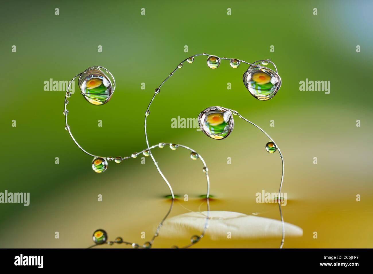 Water drops hang on bent thin metal wires sticking out of the water ...