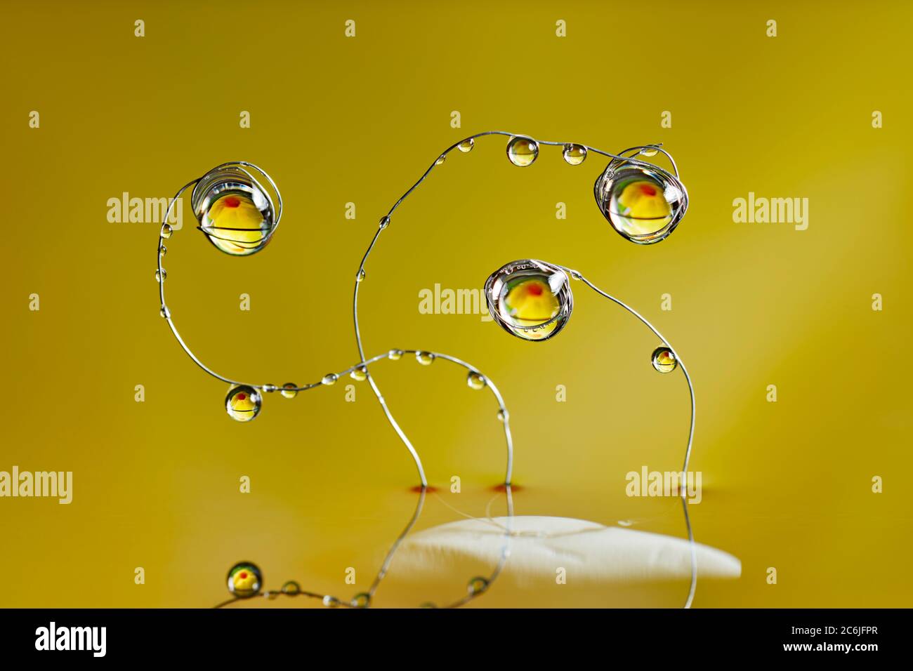 Water drops hang on thin bent metal wires sticking out of the water ...