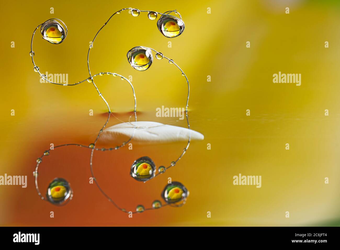 Water drops hang on bent thin metal wires sticking out of the water ...