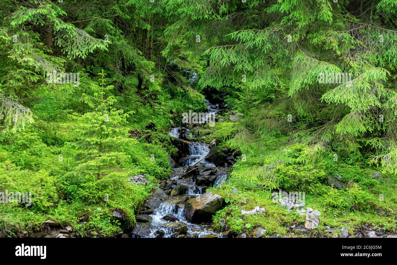 Beautiful waterfall in rocky hi-res stock photography and images - Alamy