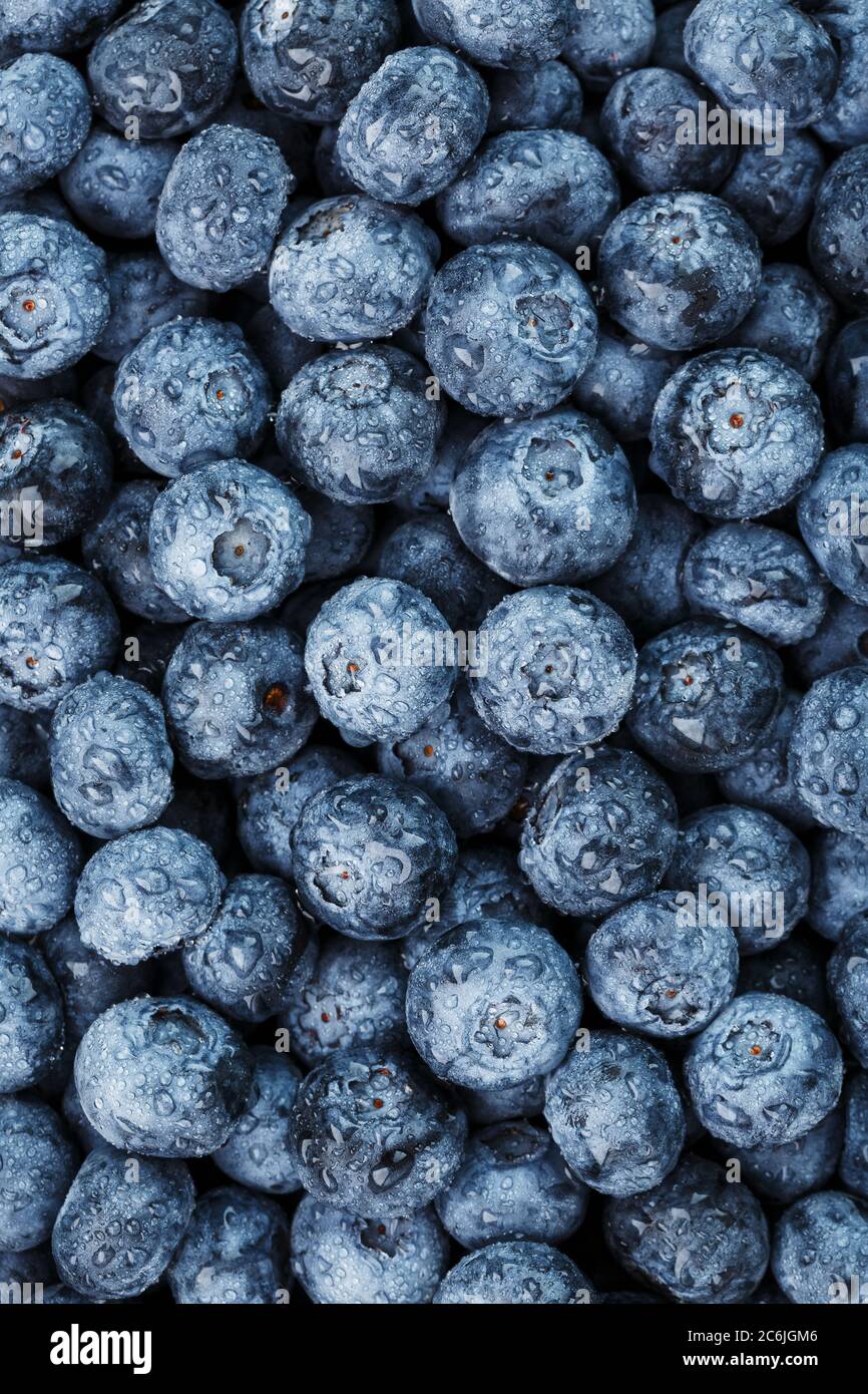 Ripe blueberries in the form of a full-screen texture with drops of dew ...