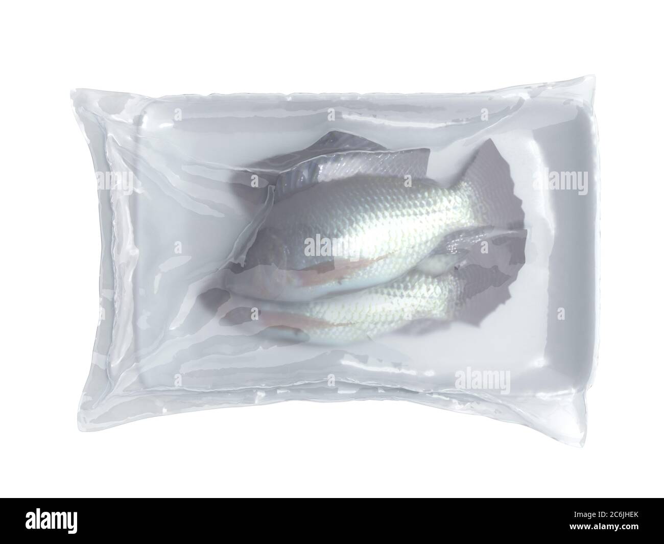 set of vacuum packed fish 3d render on white no shadow Stock Photo - Alamy