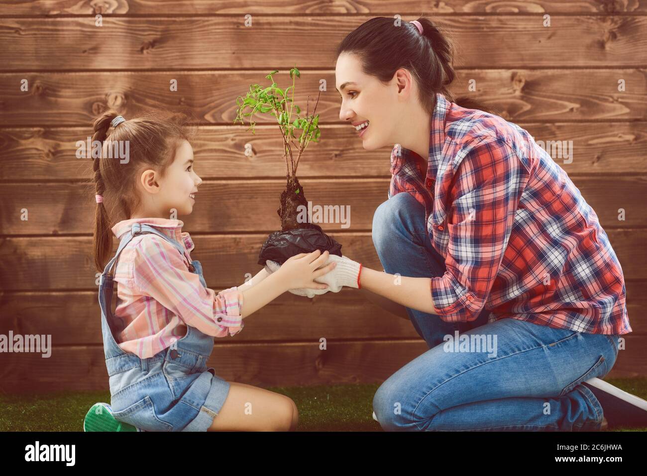 Mom and her child girl plant sapling tree. Spring concept, nature and ...