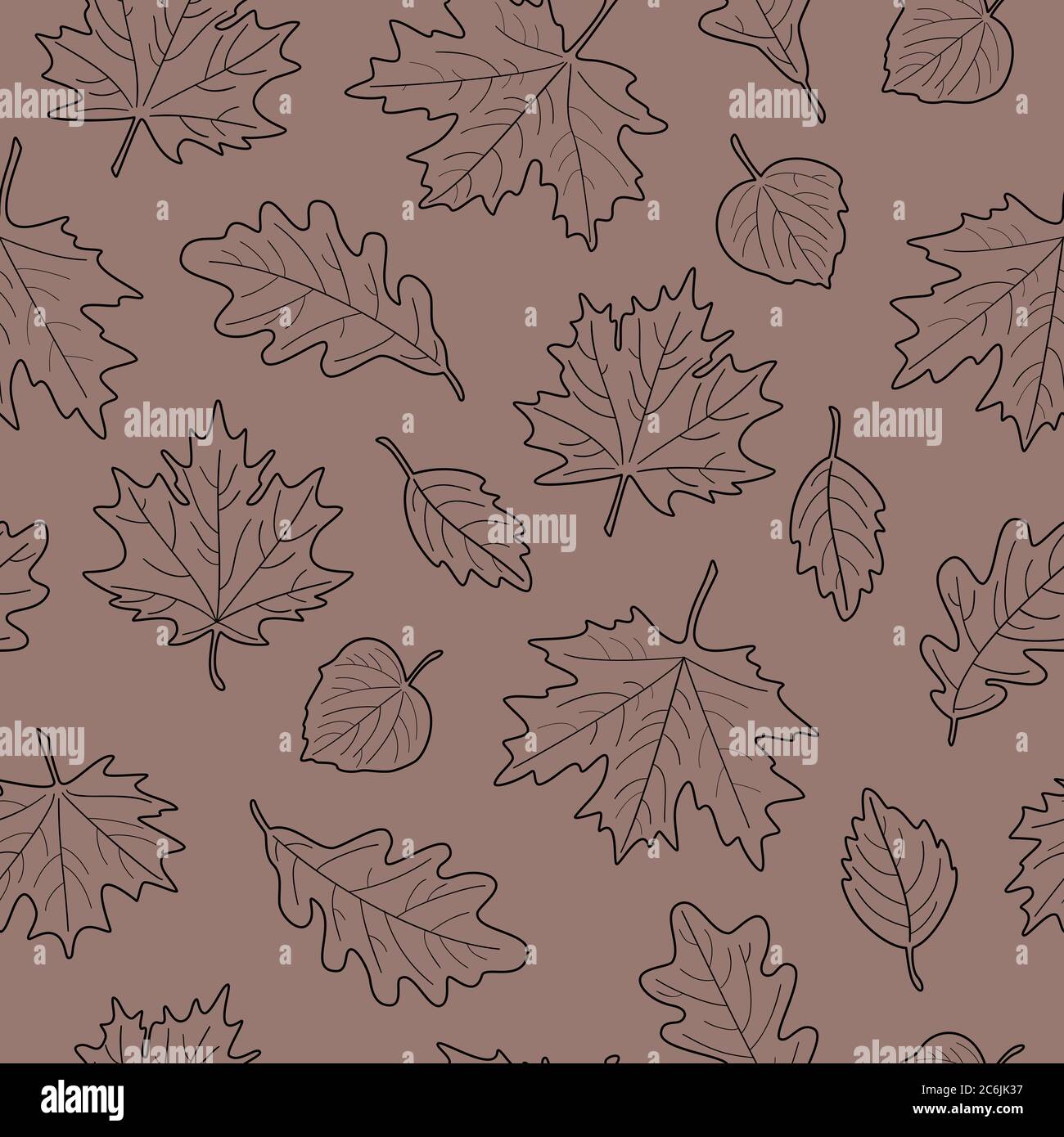 Vector seamless pattern of leaves. Maple, Linden, oak and birch leaves background Stock Vector ...