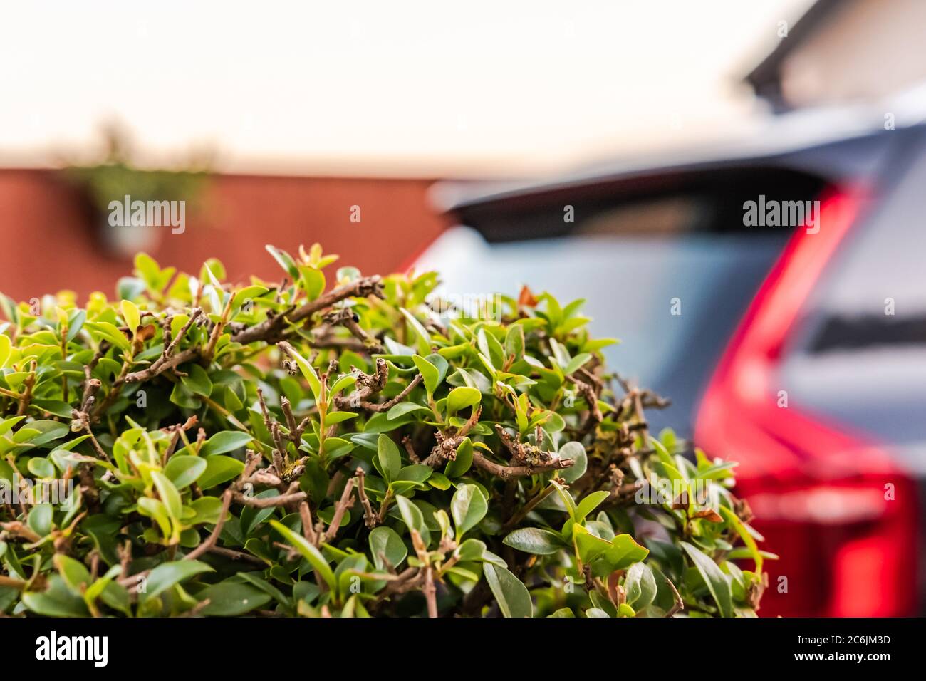 Back garden car parking hi-res stock photography and images - Alamy
