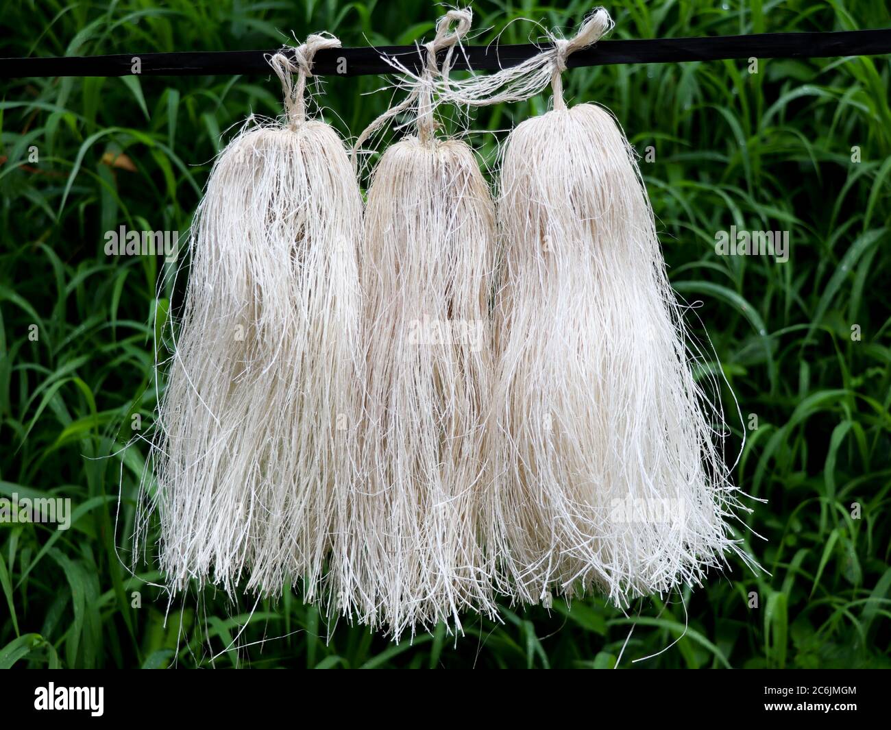 Odapoovu or bamboo flower, made of beaten bamboo,a special offering at ...