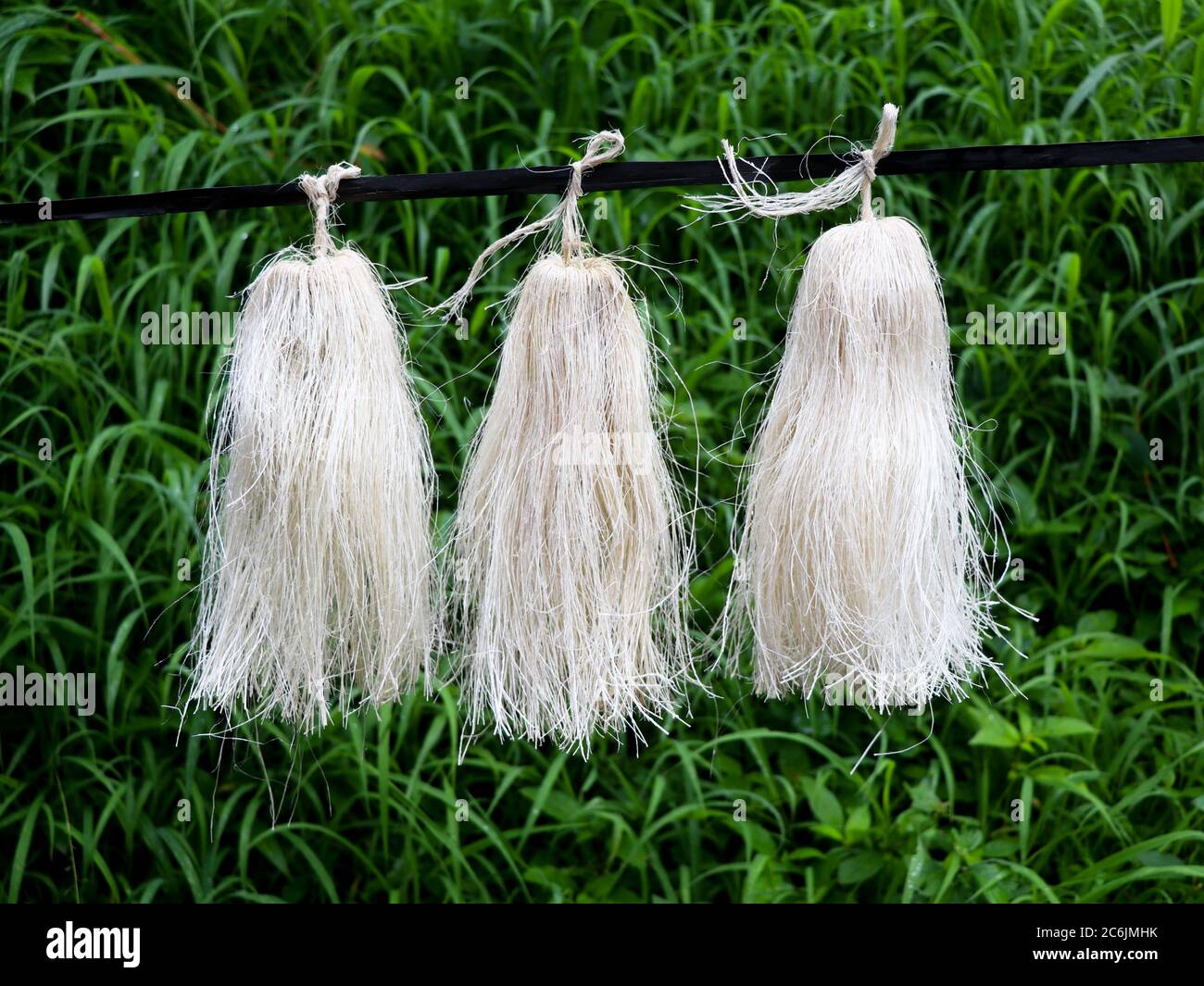 Kottiyoor temple hi-res stock photography and images - Alamy