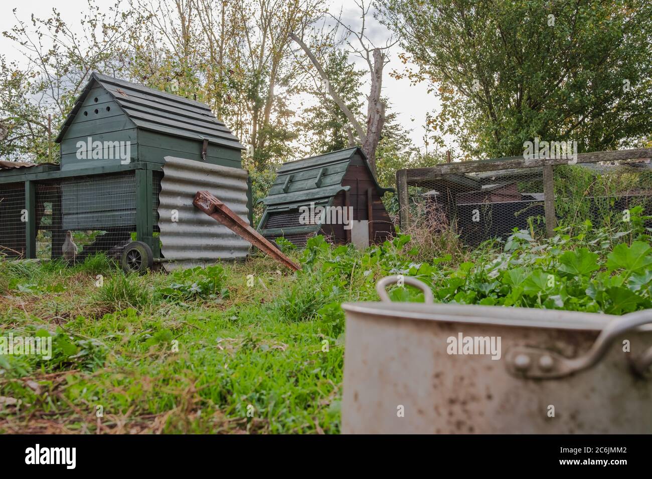 Shallow focus of a rural collection of timber chicken houses used for ...