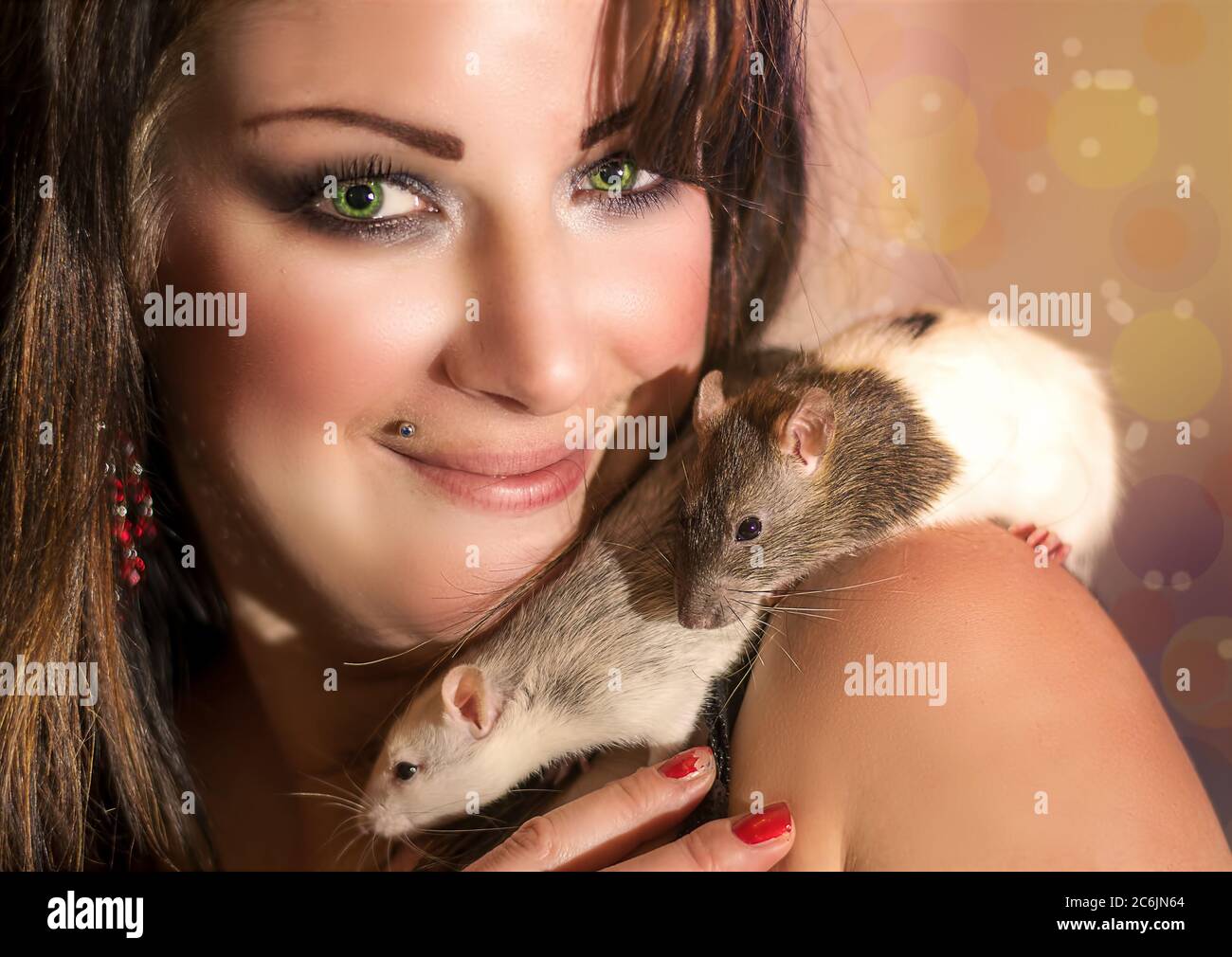 Tame rats hi-res stock photography and images - Alamy