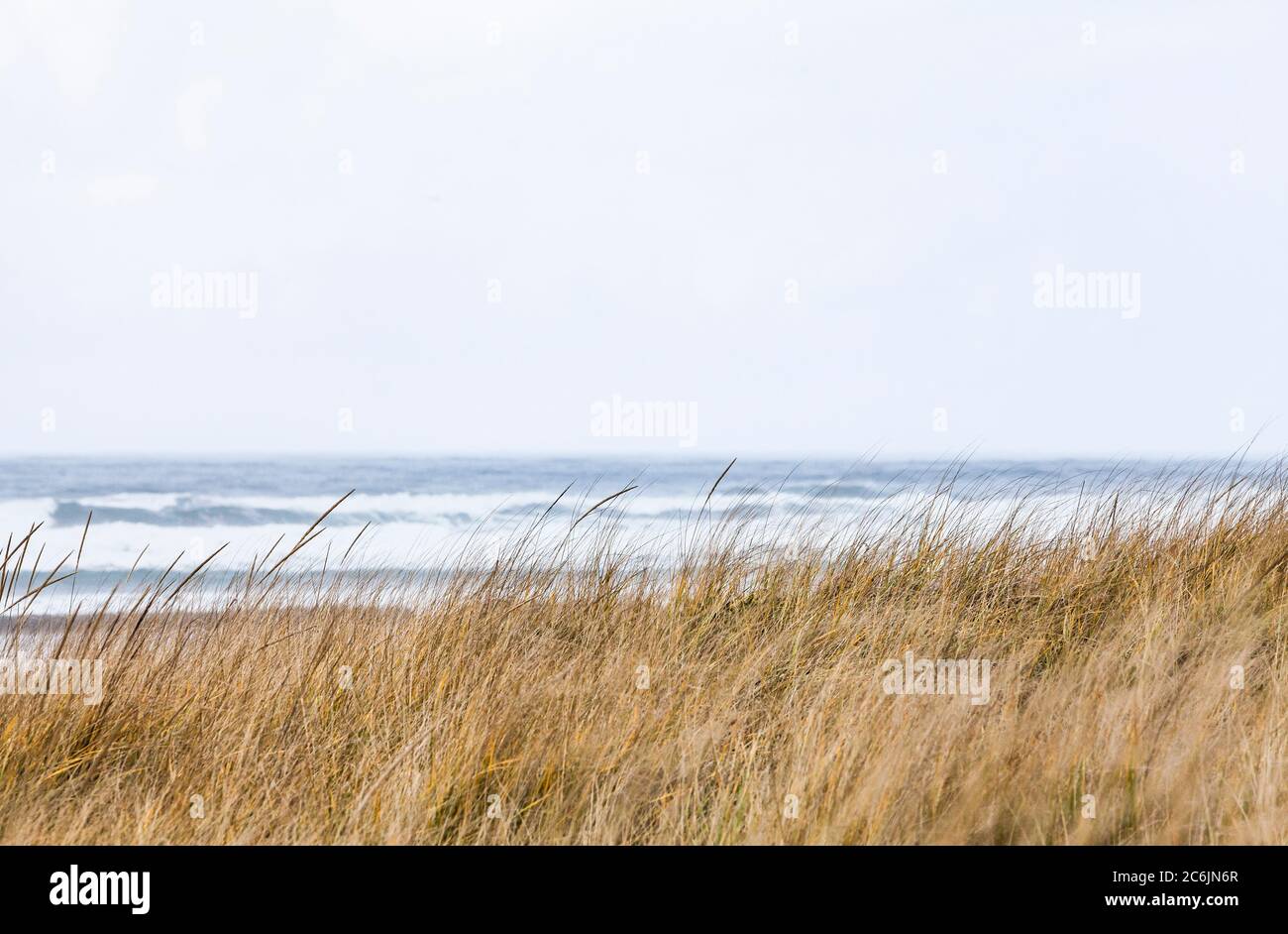 Surf Grasses High Resolution Stock Photography and Images - Alamy