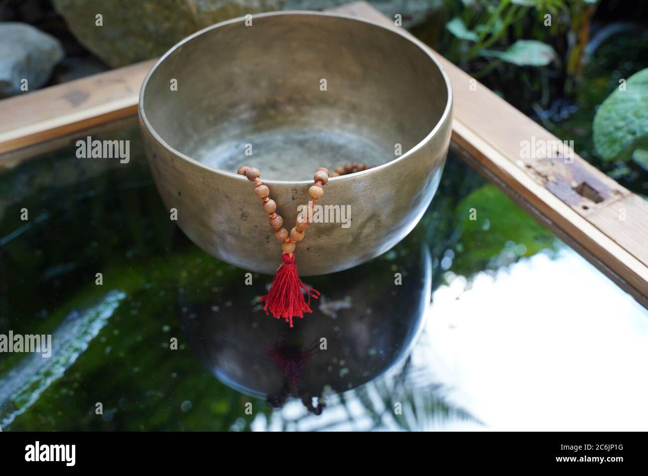 Singing instrument hi-res stock photography and images - Alamy