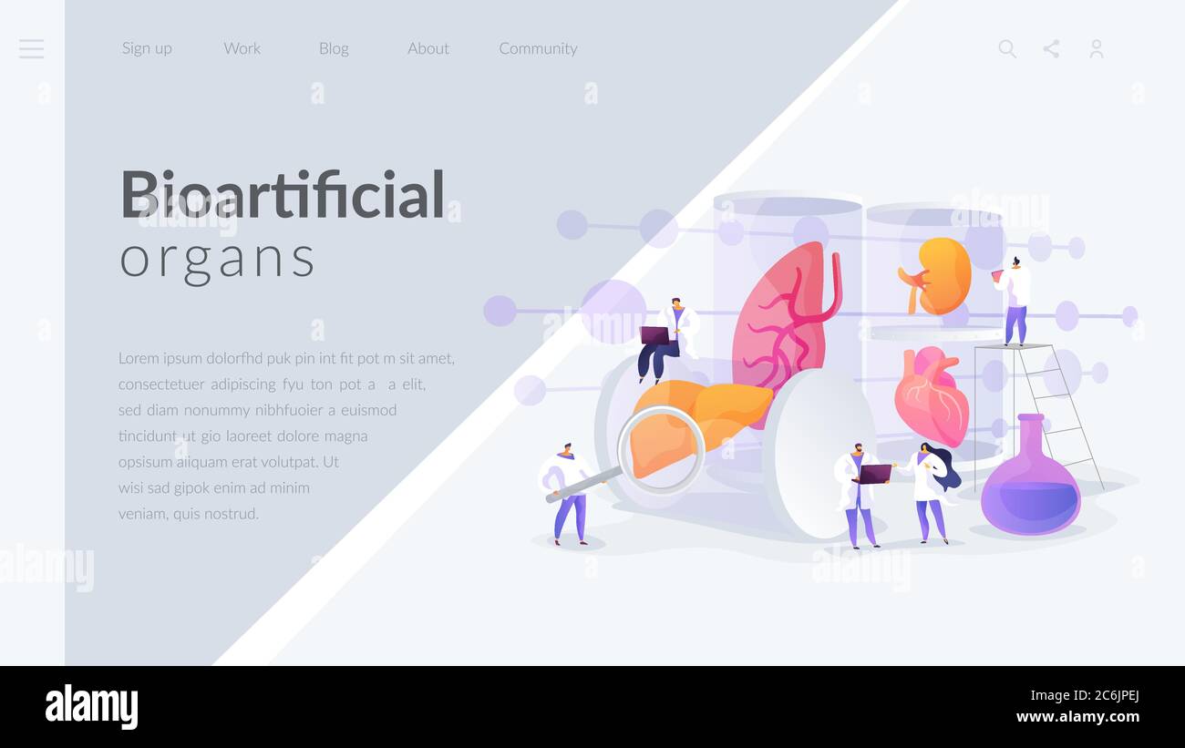 Lab-Grown Organs landing page concept Stock Vector Image & Art - Alamy