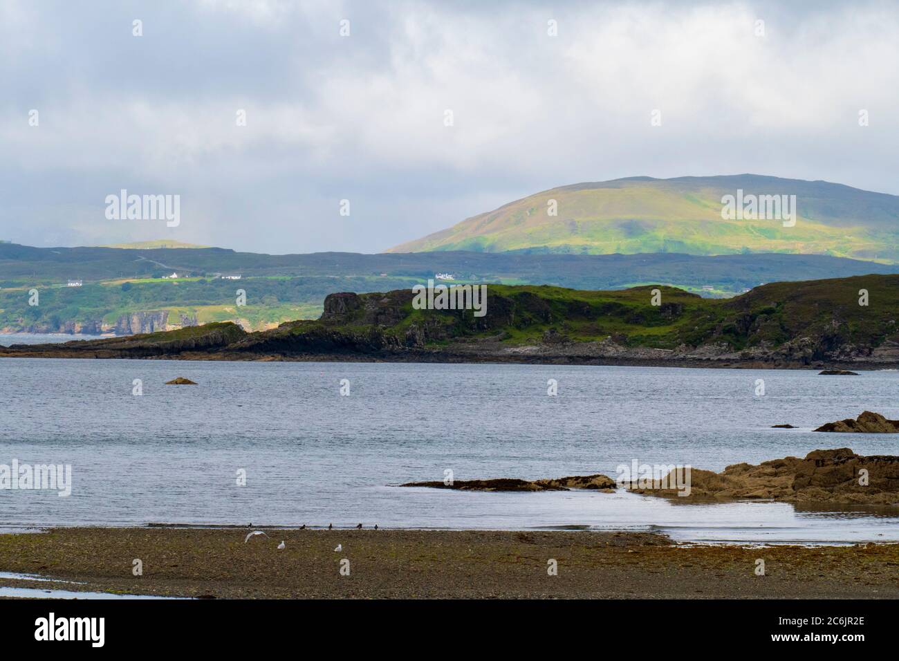 Baum mit loch hi-res stock photography and images - Alamy