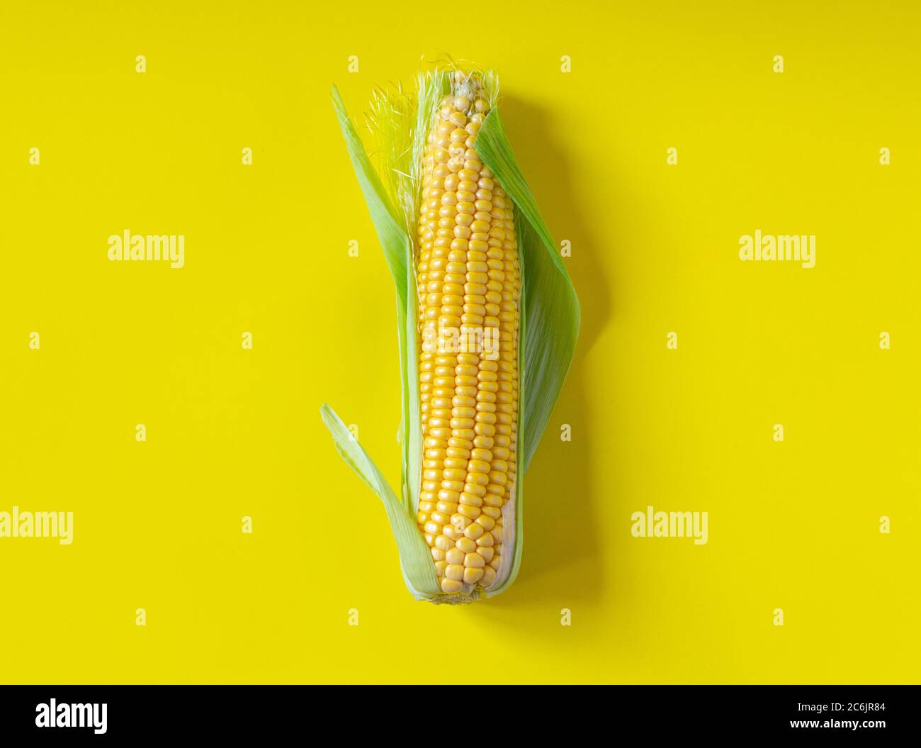 Single ear of fresh corn on yellow background Stock Photo - Alamy