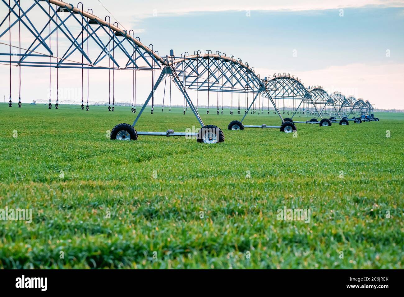 Green field with drip irrigation system hanging above it against blue ...
