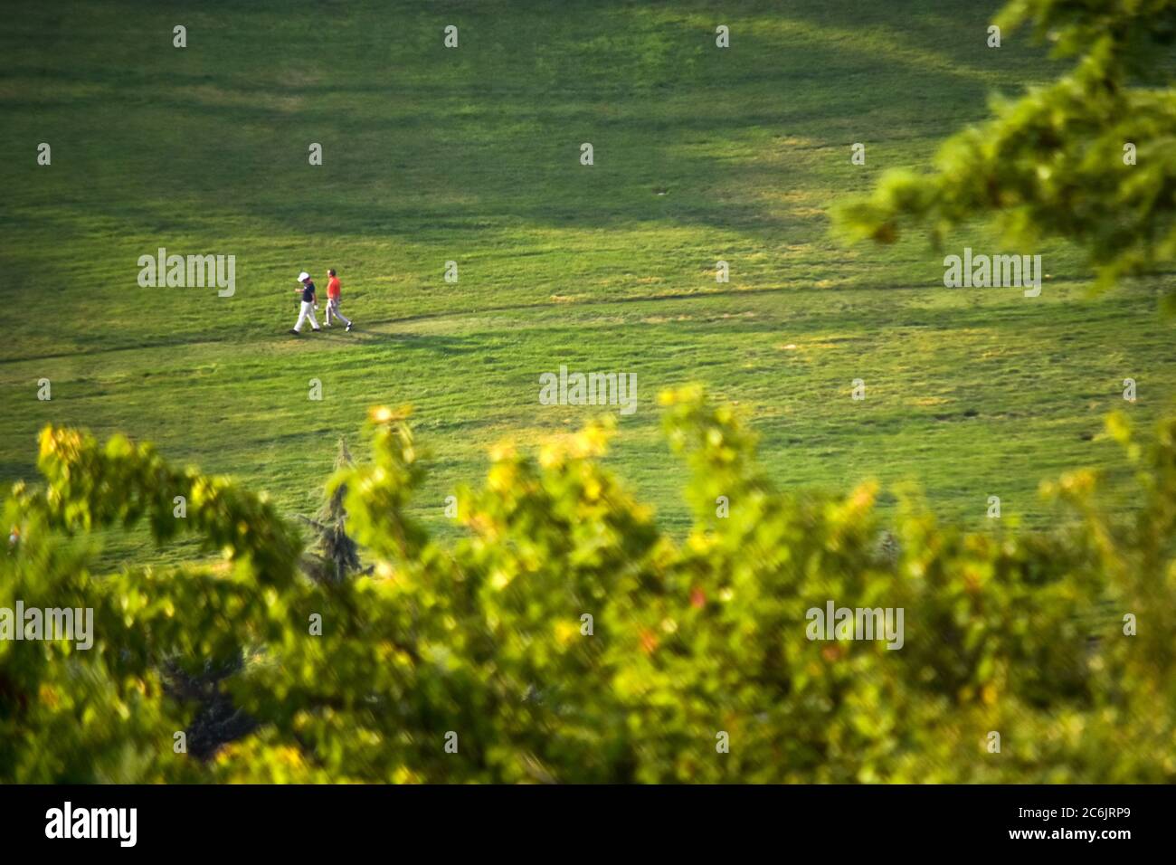Royal spring srinagar hi-res stock photography and images - Alamy