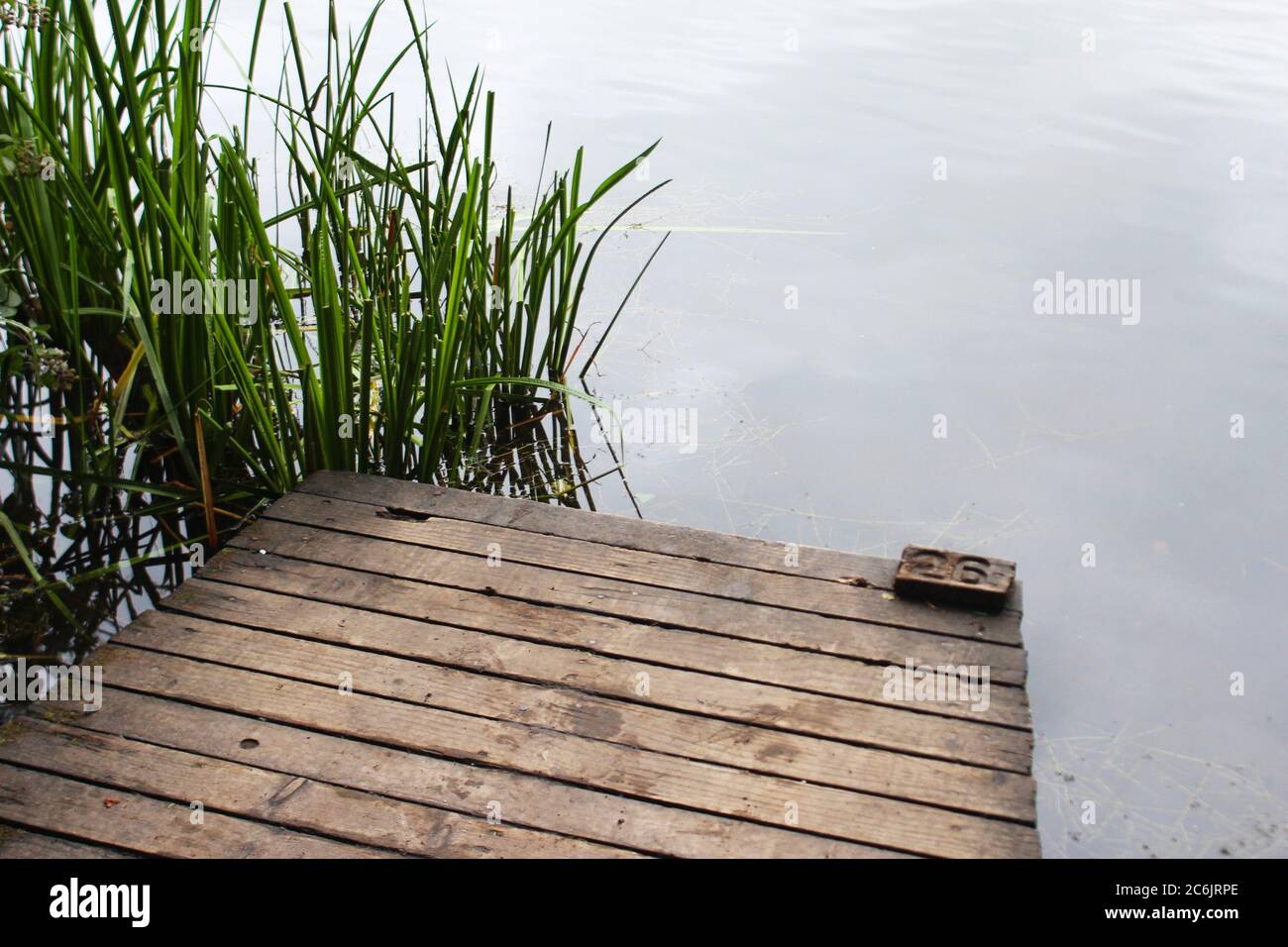 A lake boardwalk next to water reeds in Chorlton water park in ...