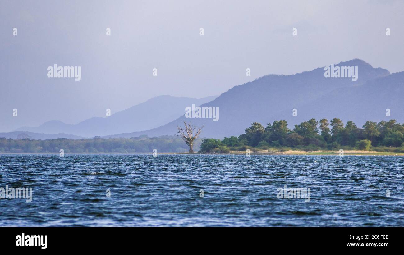 Beautiful scenery at Minneriya tank at Polonnaruwa, Sri lanka Stock ...