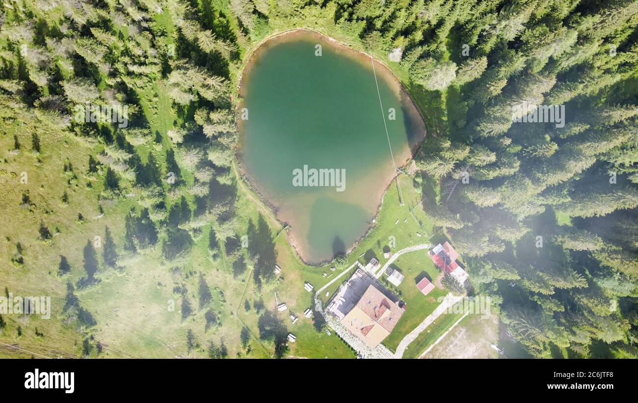 Alpin lake in summer time surrounded by beautiful forest, overhead ...