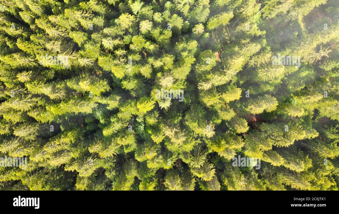 Overhead aerial view of beautiful mountain trees in summertime Stock ...