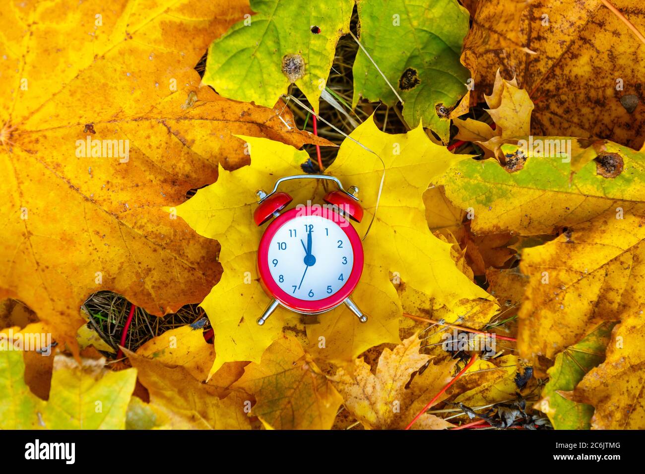 Old clock on autumn leaves on natural background Stock Photo - Alamy