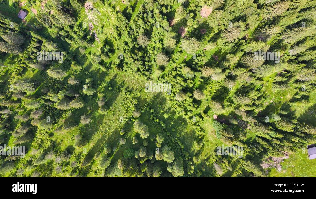 Overhead aerial view of beautiful mountain trees in summertime Stock ...